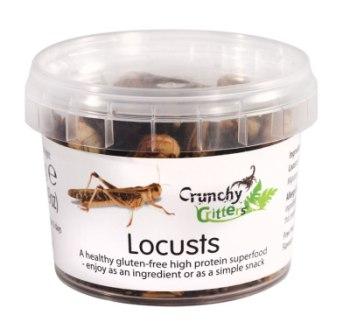 Cricket Flour 100 grams – Crunchy Critters