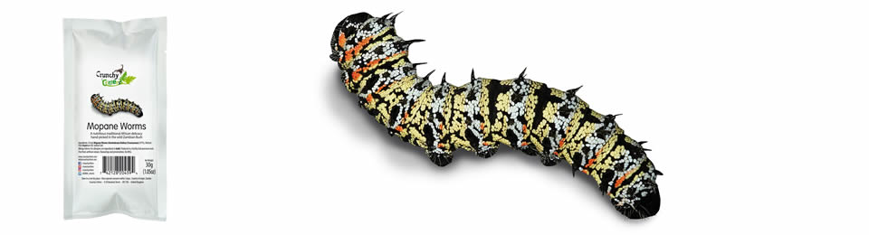 Crunchy Critters | Exclusive, ready-to-eat edible insects.