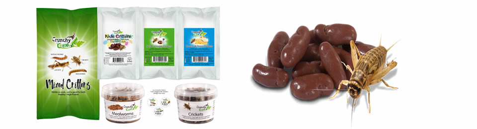 Edible Insects - Ready-to-eat edible bugs | Crunchy Critters