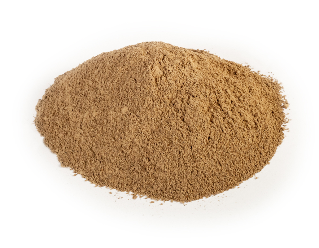 Cricket flour | Buy Edible Insects & Bugs | Crunchy Critters