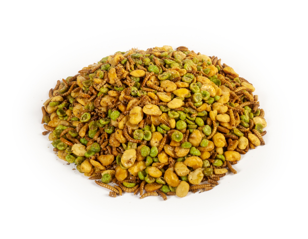 Edible insect lollipops 4 x 30g | Crunchy Critters - Buy Edible Insects