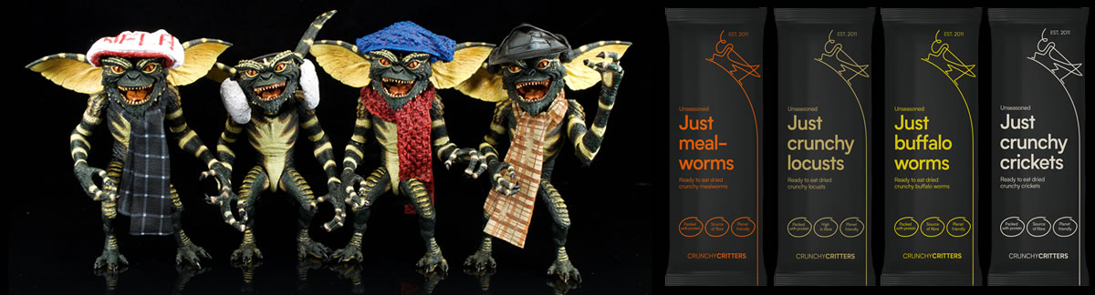 Edible Insects - Ready-to-eat edible bugs | Crunchy Critters