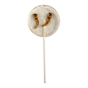 Edible insect lollipops 4 x 30g | Crunchy Critters - Buy Edible Insects